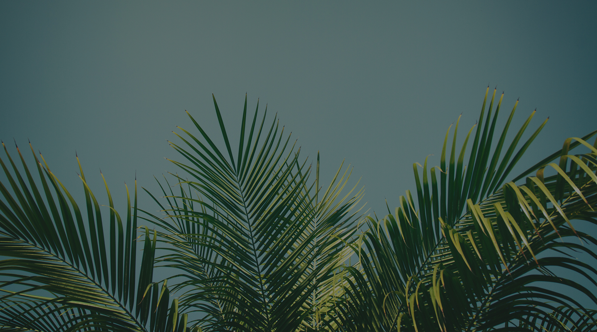 JECT - Medical Aesthetics Made Modern - NYC, LA & Miami